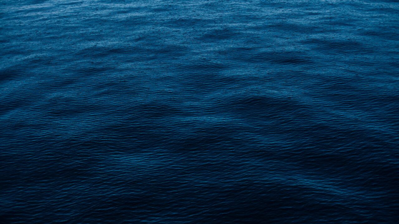 Two men die after being pulled from water near Pearl River