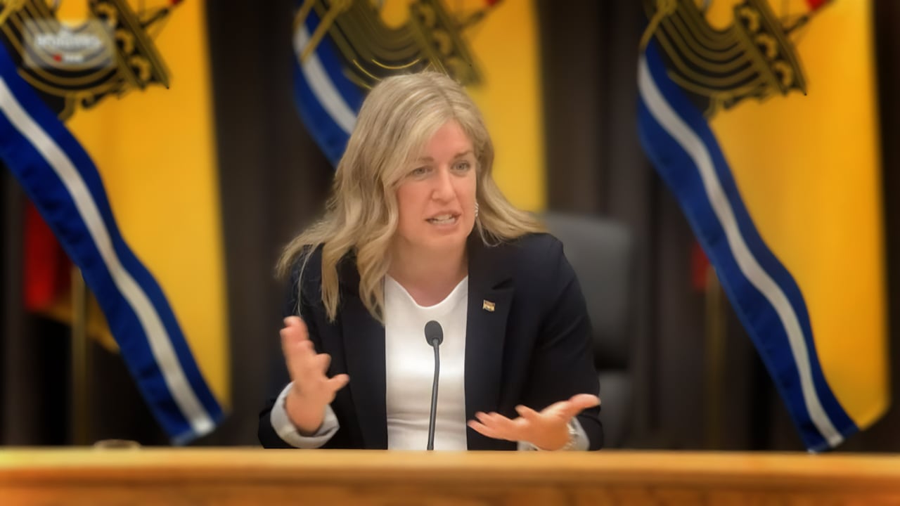 Holt looking at second large reactor at Point Lepreau