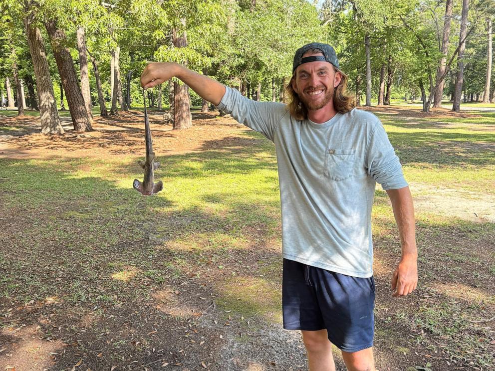 Hammerhead shark falls from sky onto disc golf course in South Carolina