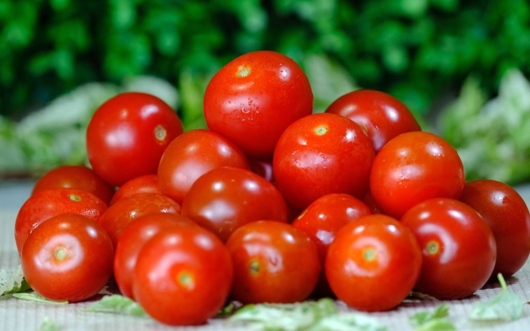 Tomate vai além da culinária e pode trazer benefícios à saúde