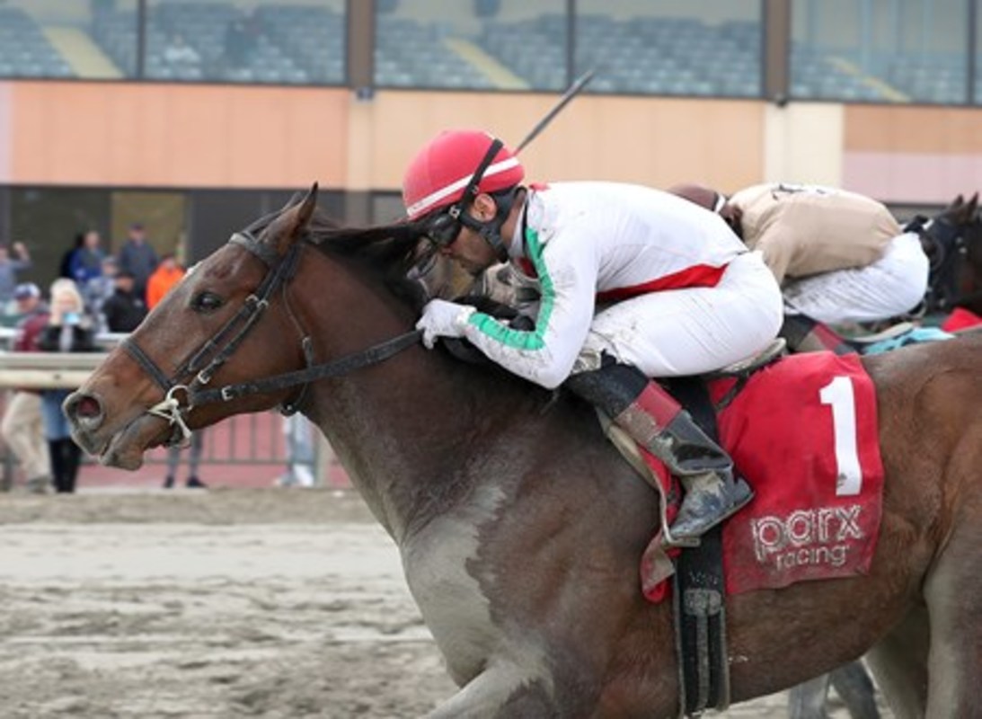 Equibase Analysis: Very Consistent Offaly Cool Poised To Upset Salvator ...