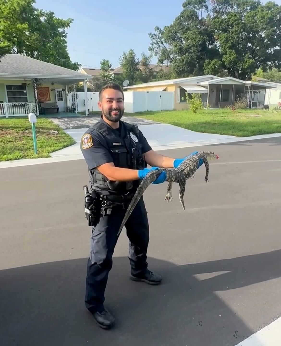 Newly hired cop from New York encounters baby alligator in Florida and ...