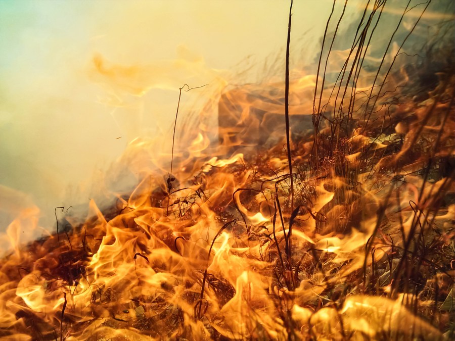 ‘Buck Fire’ burns 550 acres in western New Mexico