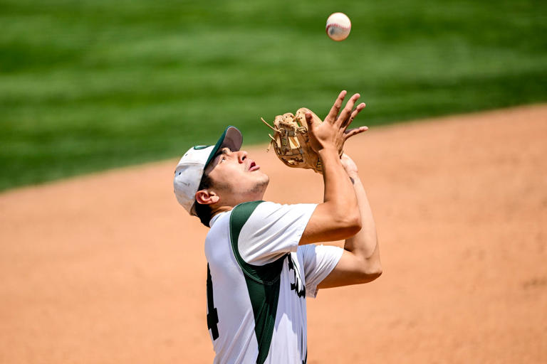 Meet the Greater Lansing all-state baseball players for 2025