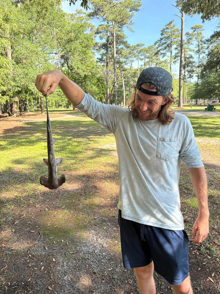 Hammerhead shark falls from sky onto disc golf course in South Carolina