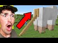 Illegal House Hacks in Minecraft You Shouldn’t Try