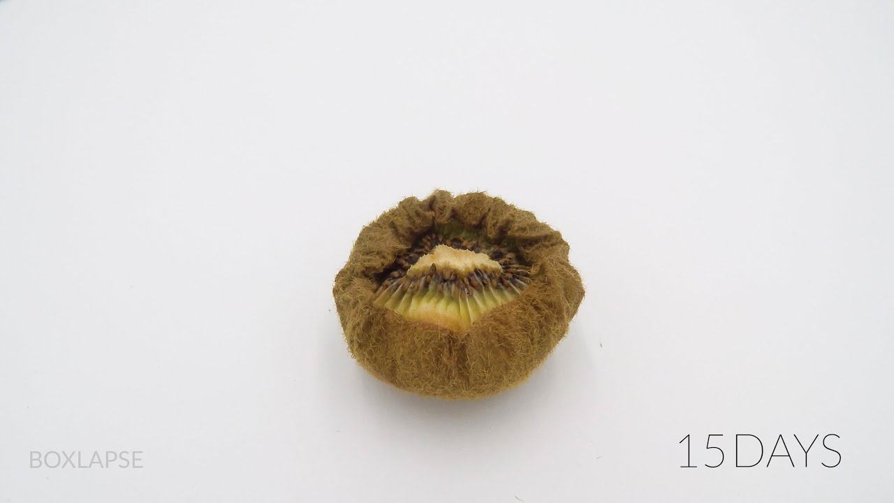 Watch kiwi transform beautifully