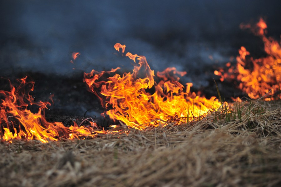 Line Fire evacuations lifted in eastern New Mexico