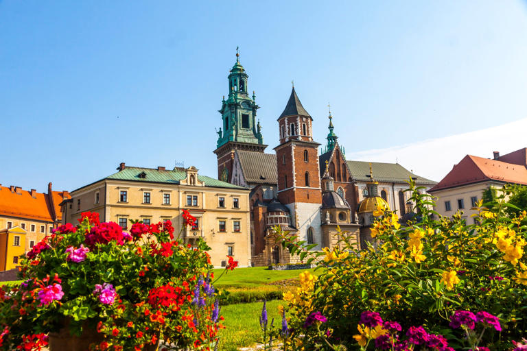 Esqueletos de 900 años revelan secretos de la realeza medieval en Polonia