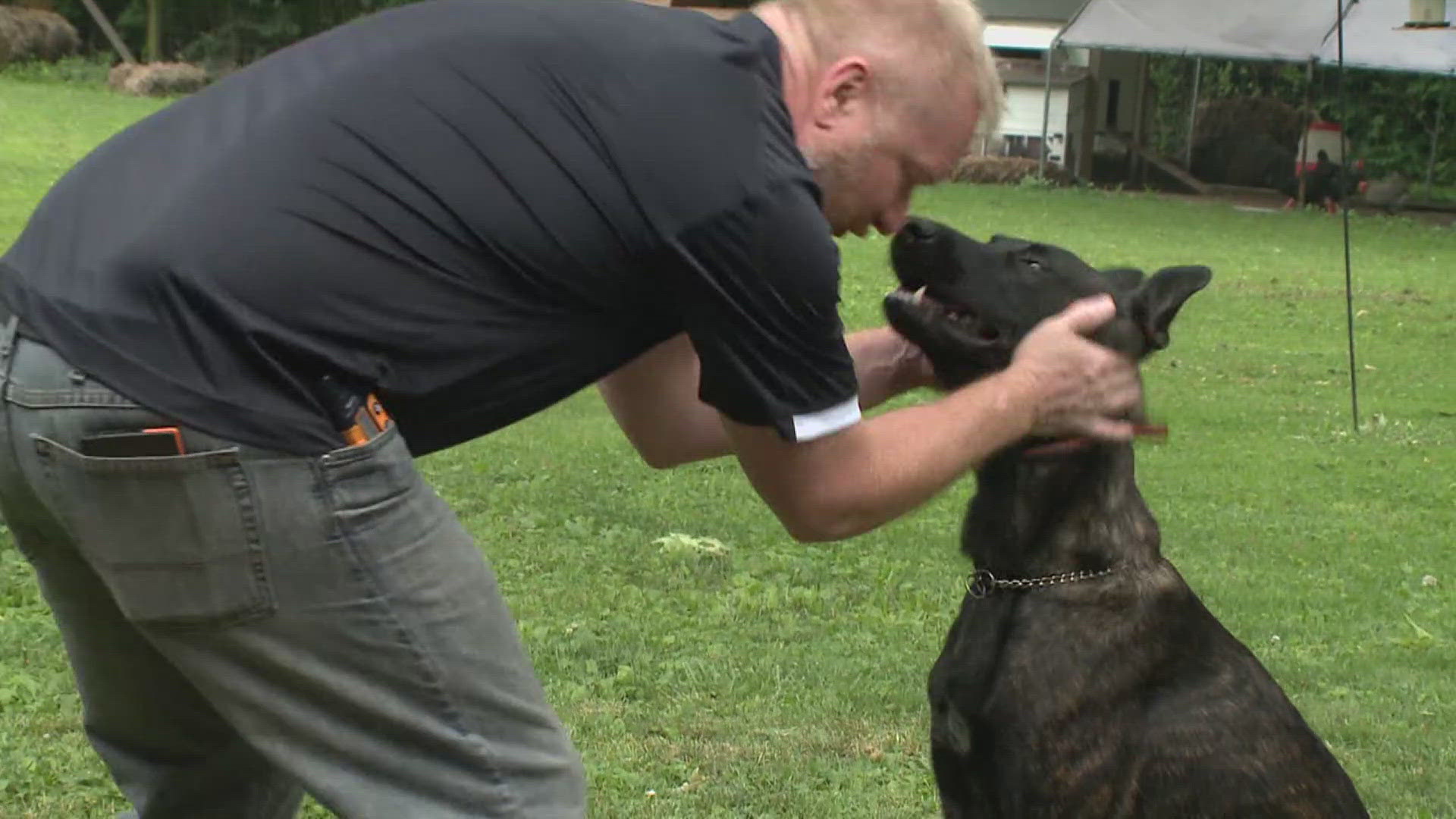 Bill that would provide vet care for retired K9s now on Illinois ...
