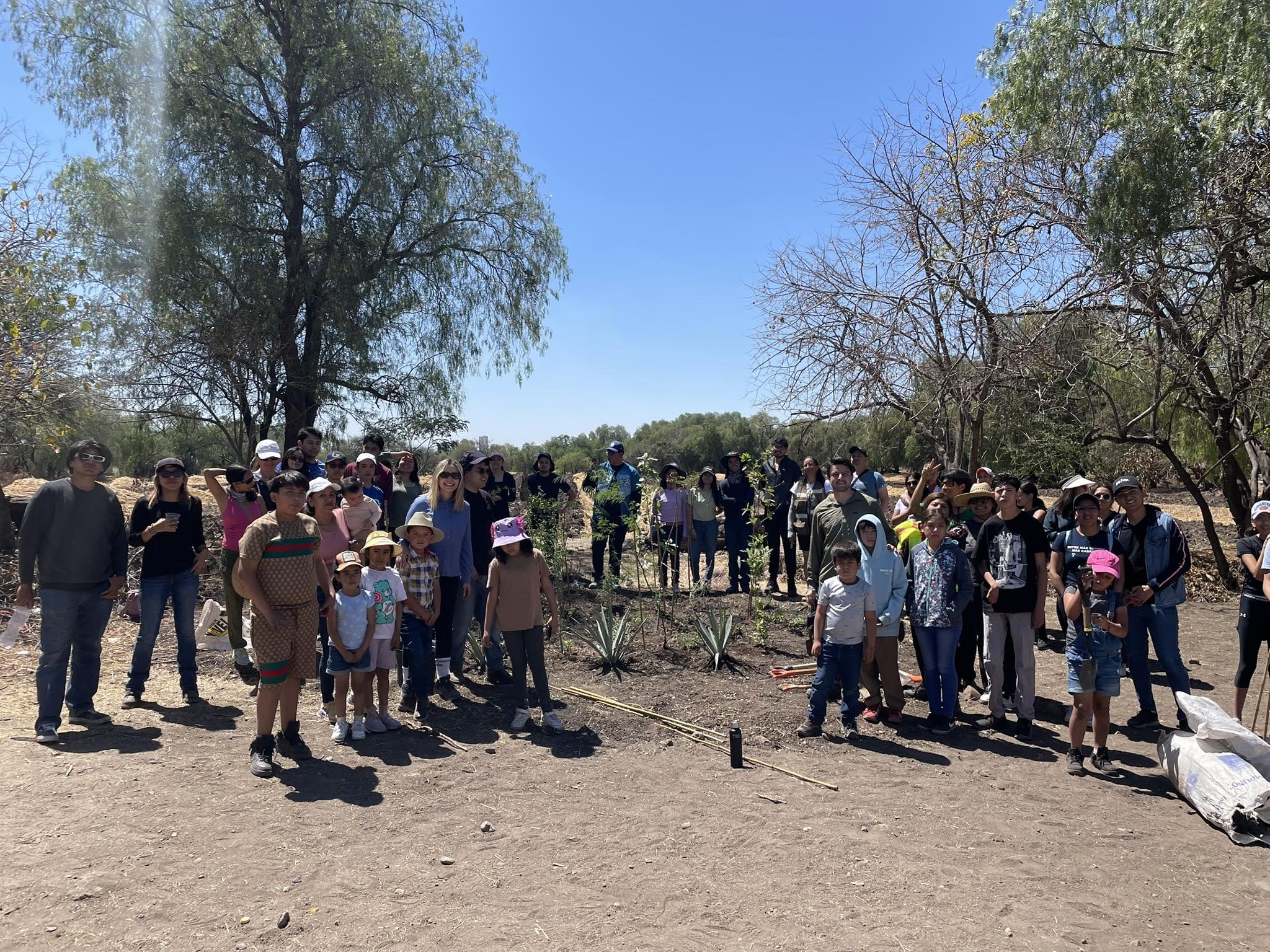 ¿Sabes qué es un bosque Miyawaki?, así te puedes sumar a construir uno ...