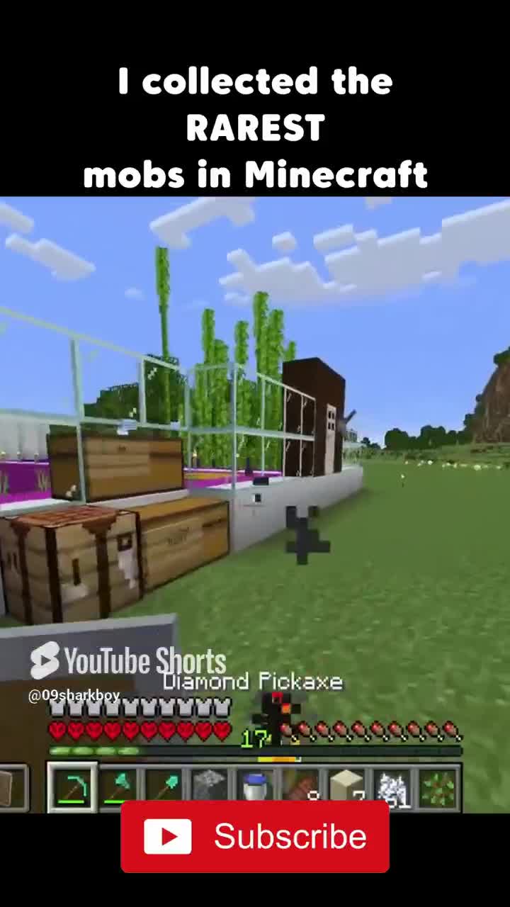 Collecting Minecraft’s Rarest Mobs in Hardcore Mode