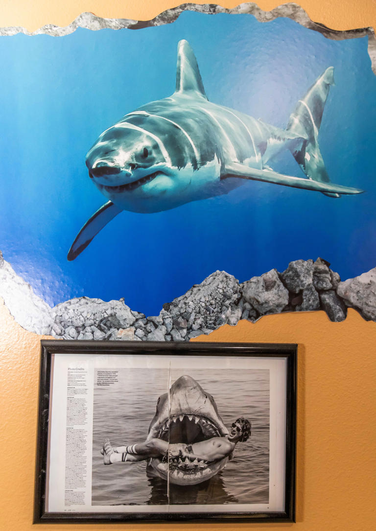 'Jaws' returning to theaters for 50th anniversary: See when