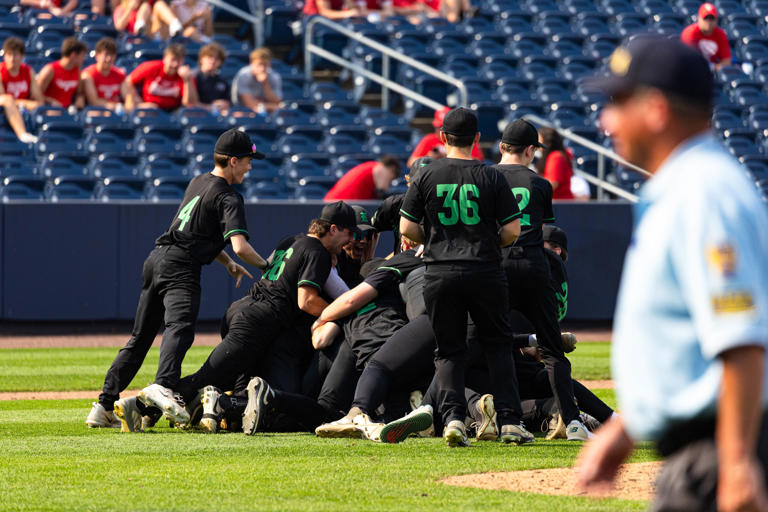 Riverside baseball uses late surge to win PIAA 3A state title over ...