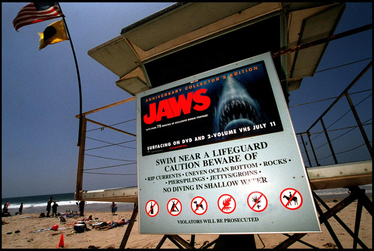 'HBD, 'Jaws': You're 50! How to watch special TV presentation with ...