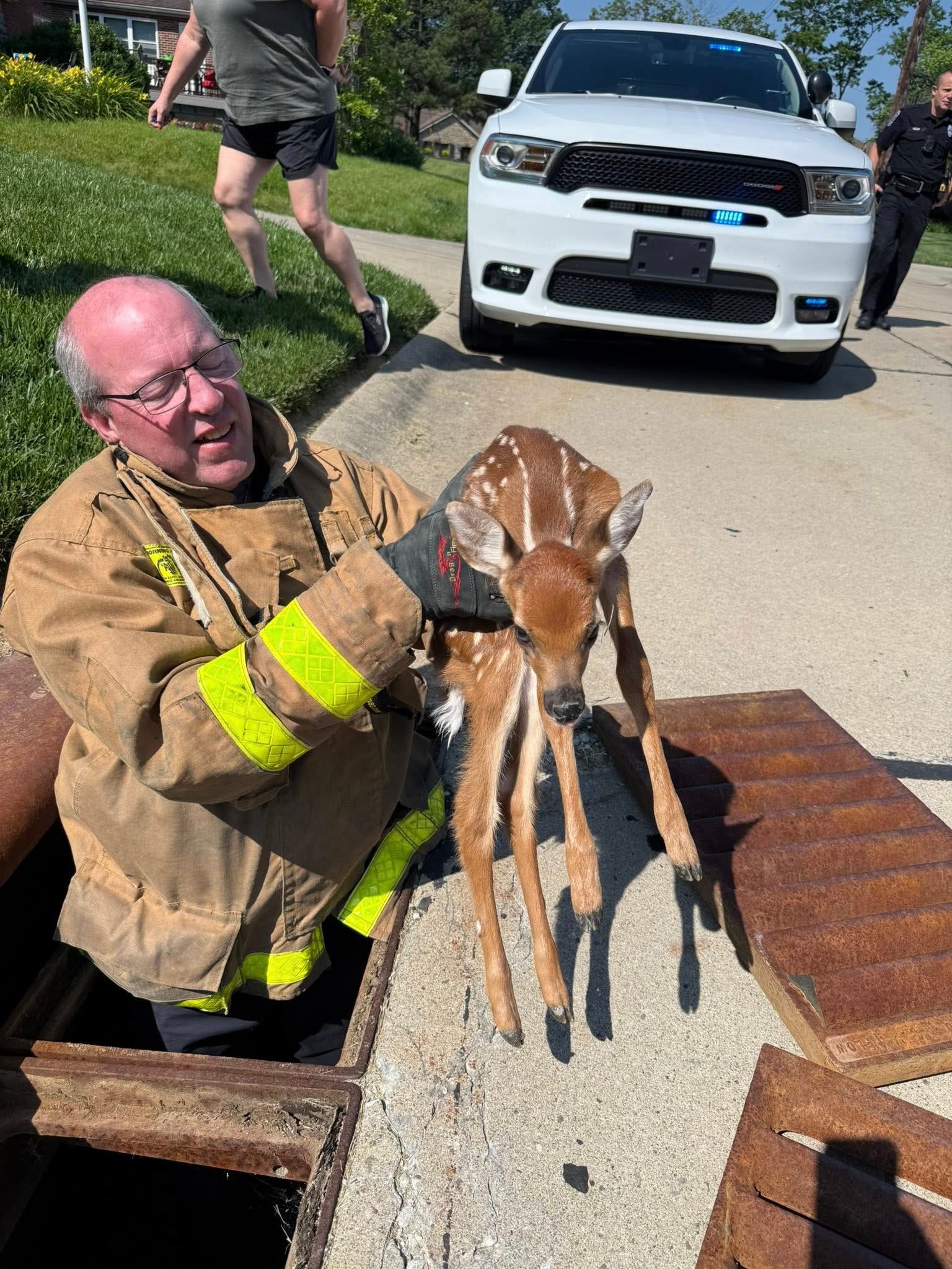 How to keep deer, rabbits, squirrels and moles out of your dang garden