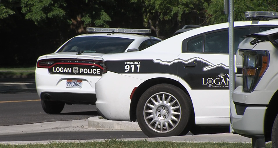 Logan man admits to kidnapping and assault in domestic violence case