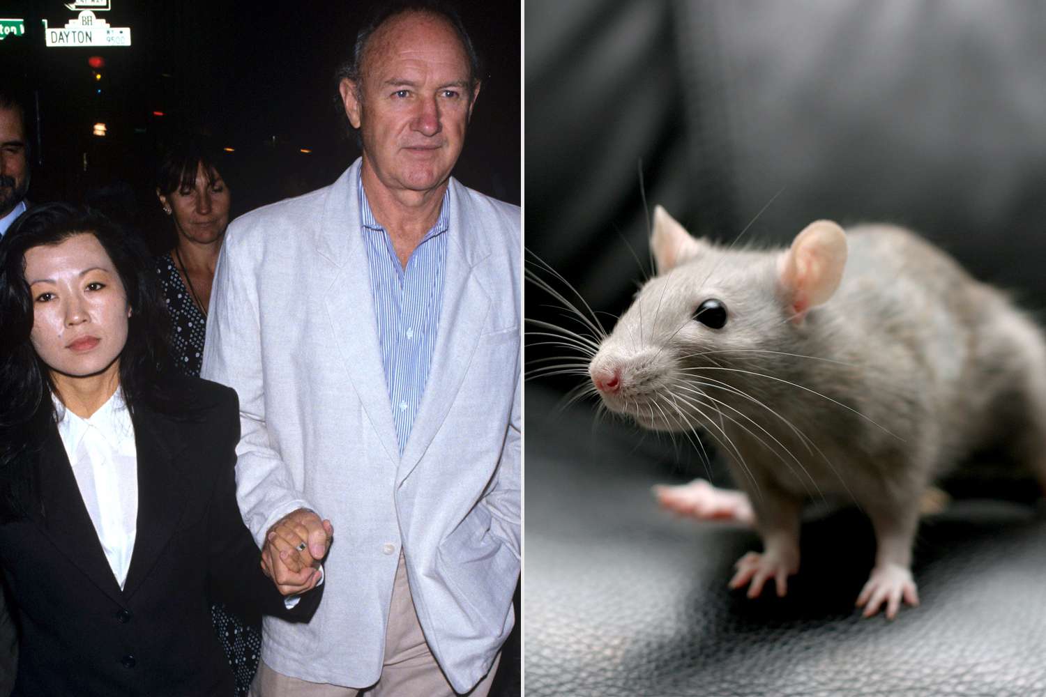 Gene Hackman’s Wife Died of Hantavirus. Now the Rodent-Borne Disease Is ...