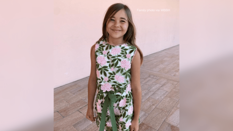 ‘It was still chasing her’: 9-year-old girl attacked by shark while ...