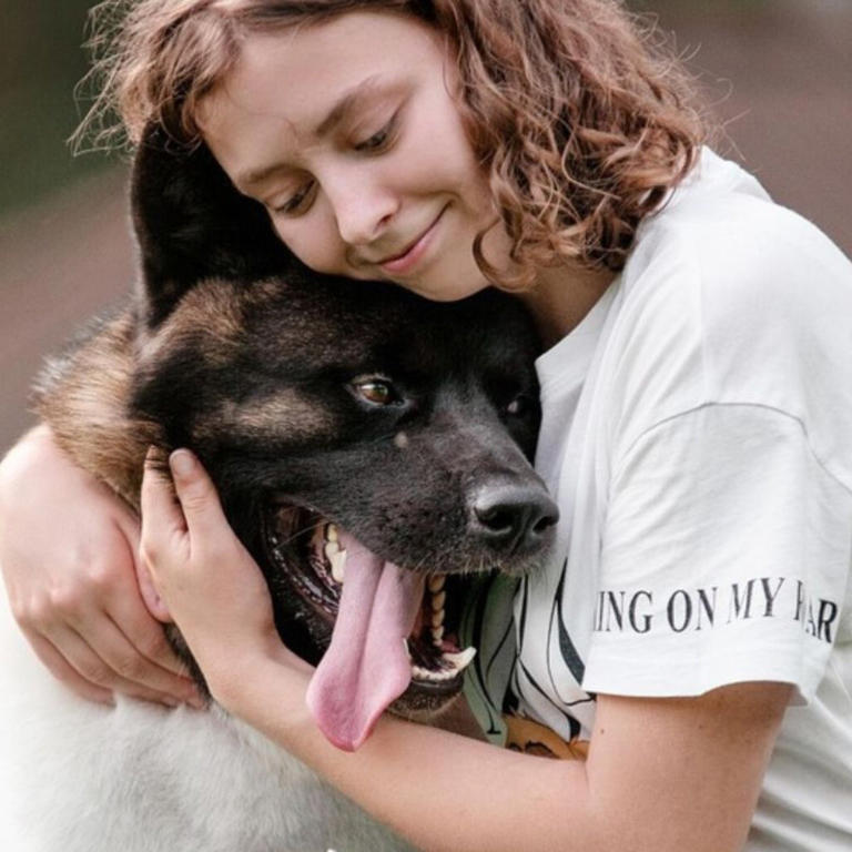 6 Signs that make your dog happy and you're his best friend