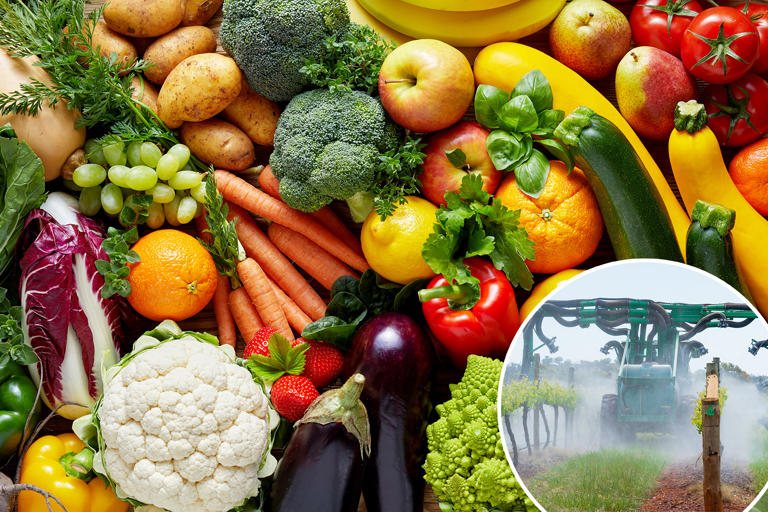 ‘Dirty dozen’ fruits and vegetables found to be contaminated with ...