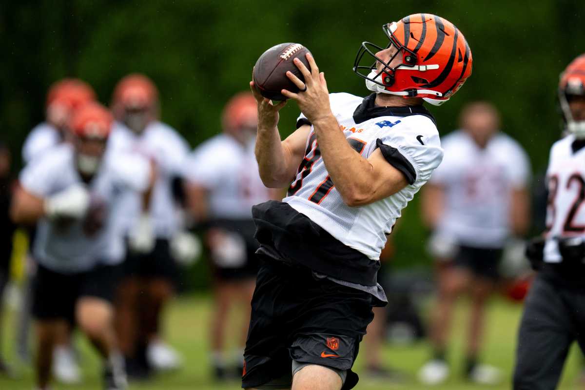 Bengals 2025 Roster Breakdown: Tanner Hudson still lingering inside ...