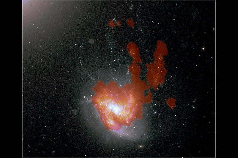 Astronomers map unusual inner workings of a jellyfish galaxy with 'bunny ears'