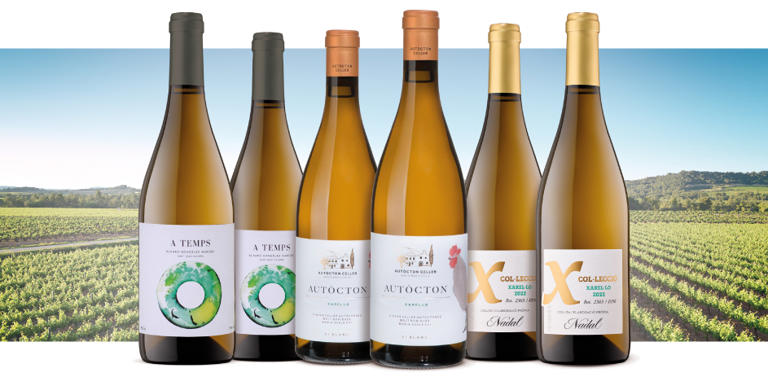 A Temps: el vino blanco que detiene el tiempo y captura la esencia del ...