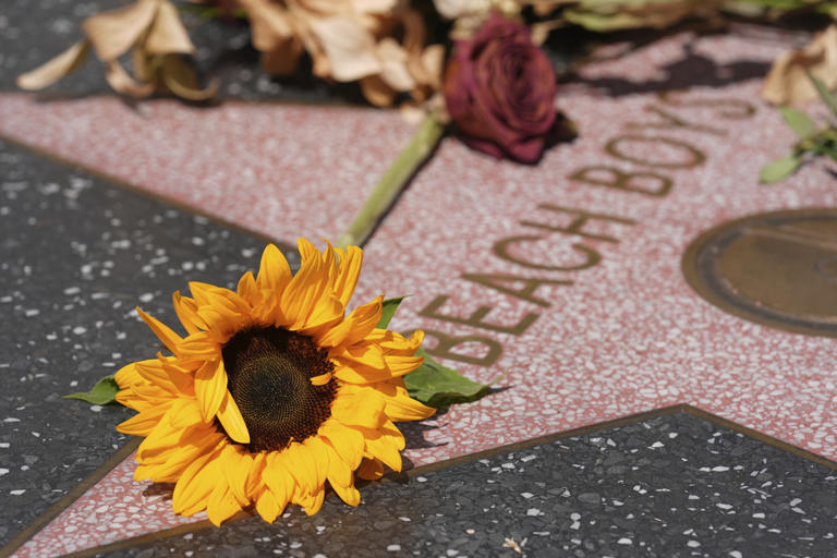 Bruce Springsteen, Paul McCartney, Mike Love and Elton John react to ...