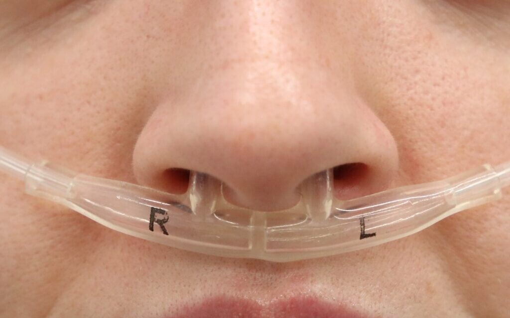 The nose knows: Humans’ nasal breathing patterns are like fingerprints ...