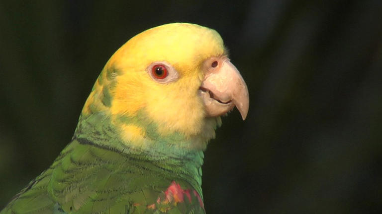 Richard Moore Outdoor Report: 19th Annual Nature Photography Day