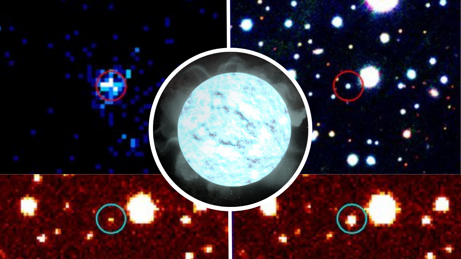 Missing link star? Why this 'teenage vampire' white dwarf has ...