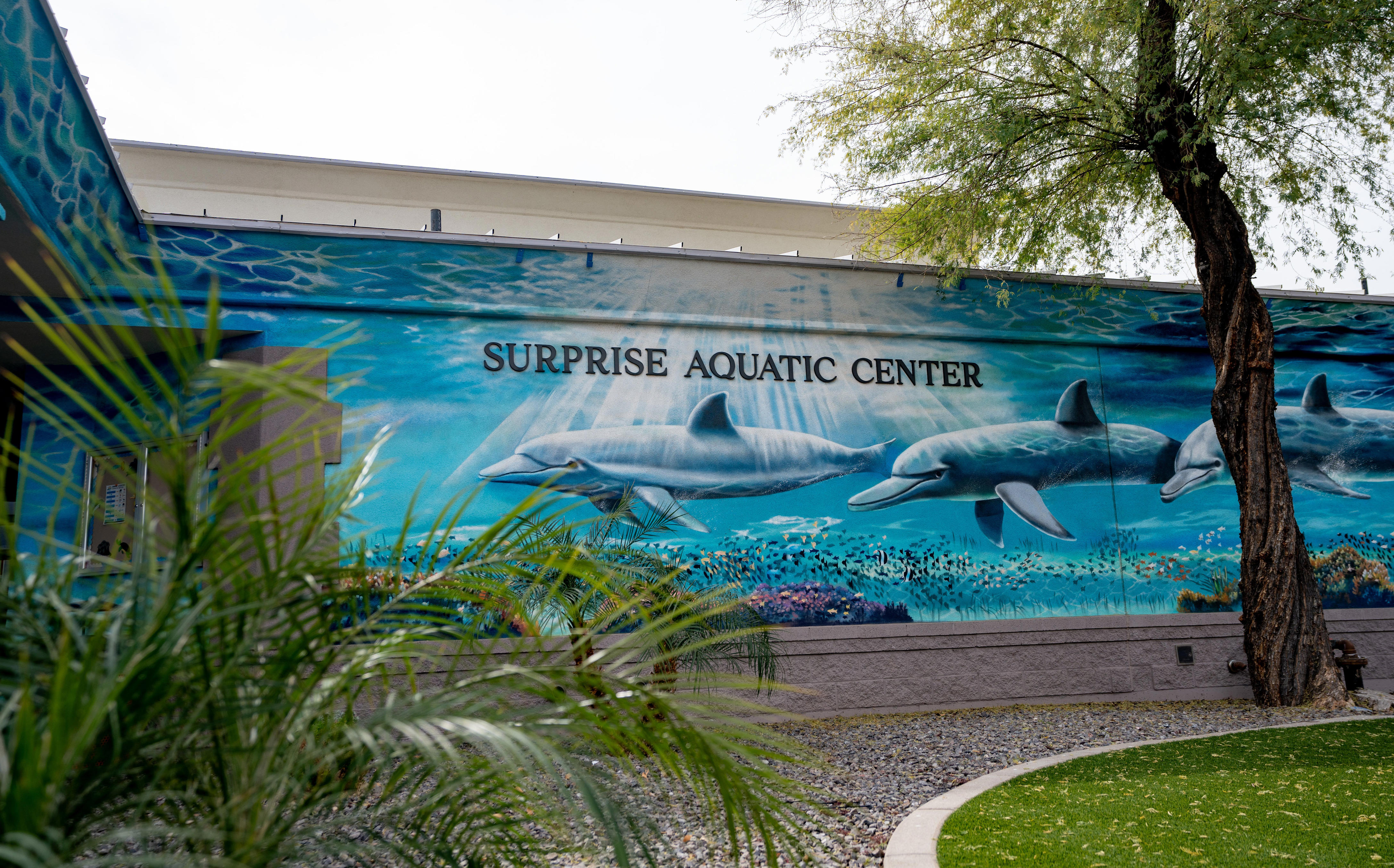 The top 15 things to do in Surprise, Arizona