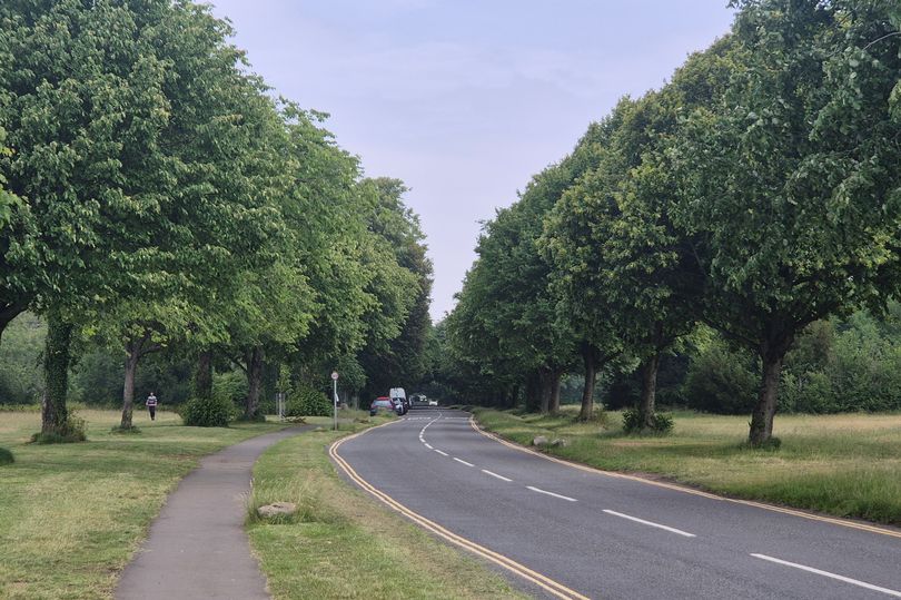 Dog killed on busy road through Bristol Downs leads to renewed calls ...