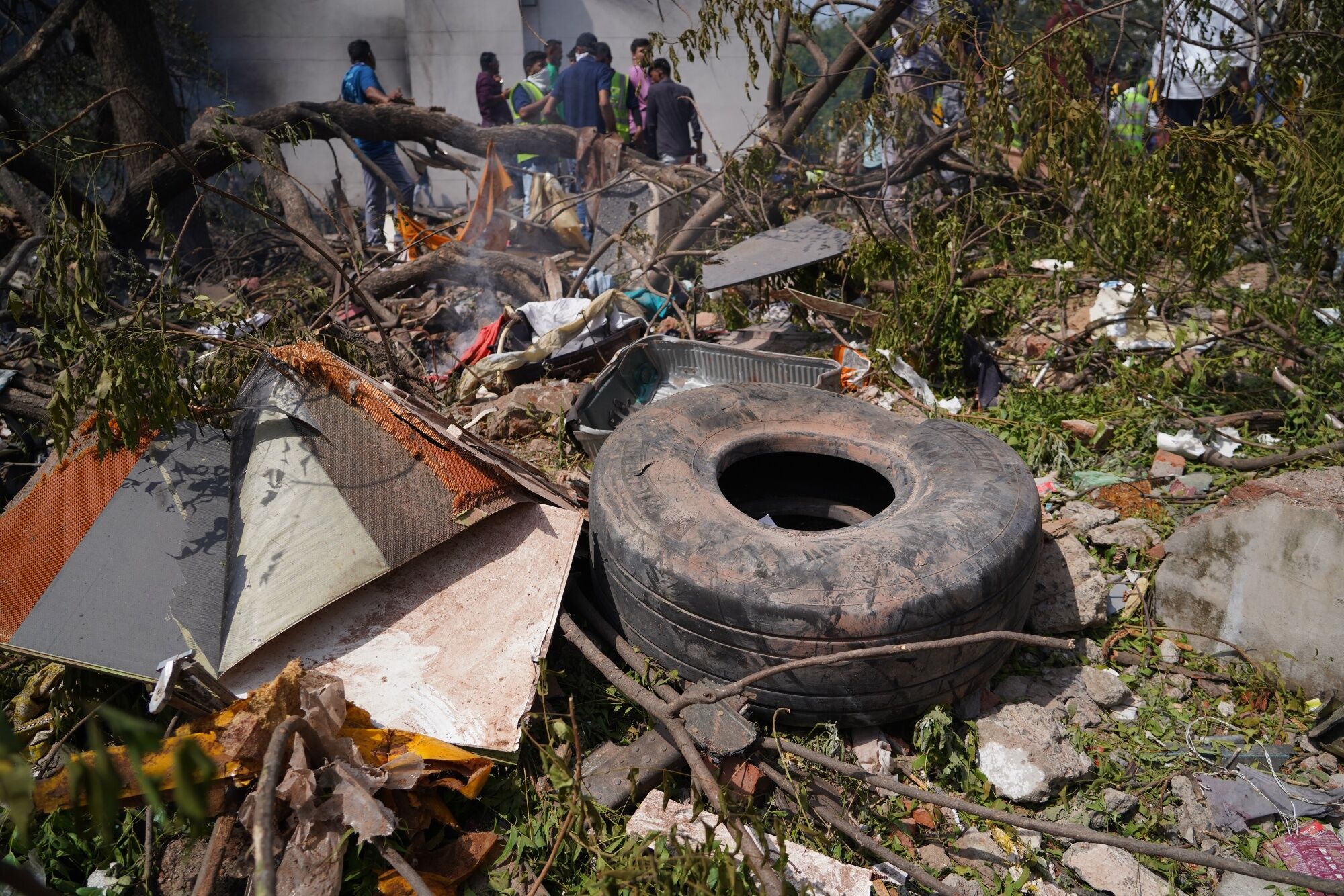 Air India Plane Crash Draws Attention to Flaps and Landing Gear