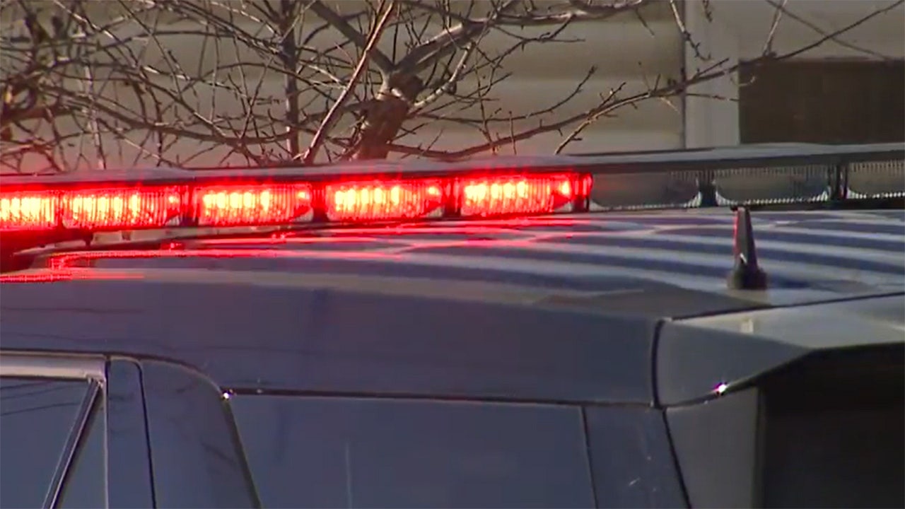 Three arrested in southeast Georgia for violent kidnapping and assault ...