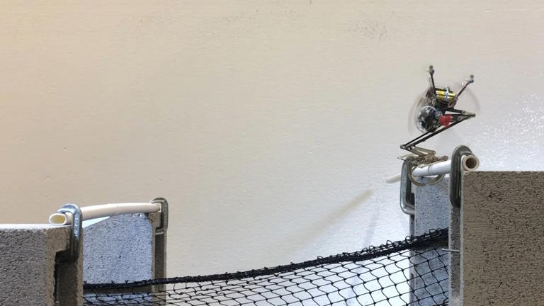 Salto the squirrelly robot could be the future of space exploration ...