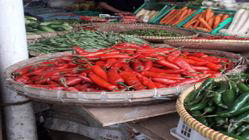 Update Harga Cabai di Pare, Cabai Merah Besar dan Keriting Kompak Naik ...