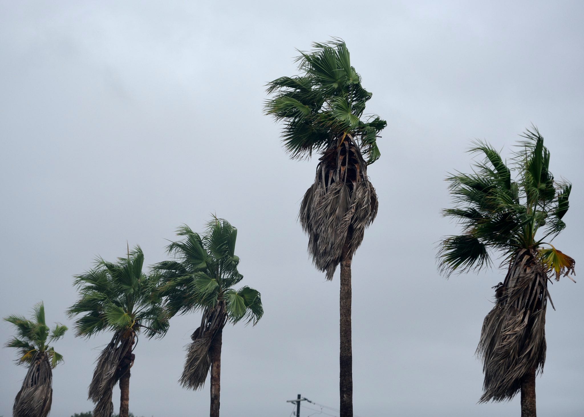 Here's how new Texas funding offers relief to schools on windstorm ...
