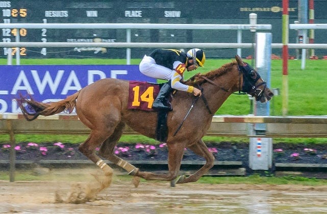 Horse-by-horse look at the inaugural Delaware Derby, including our top ...