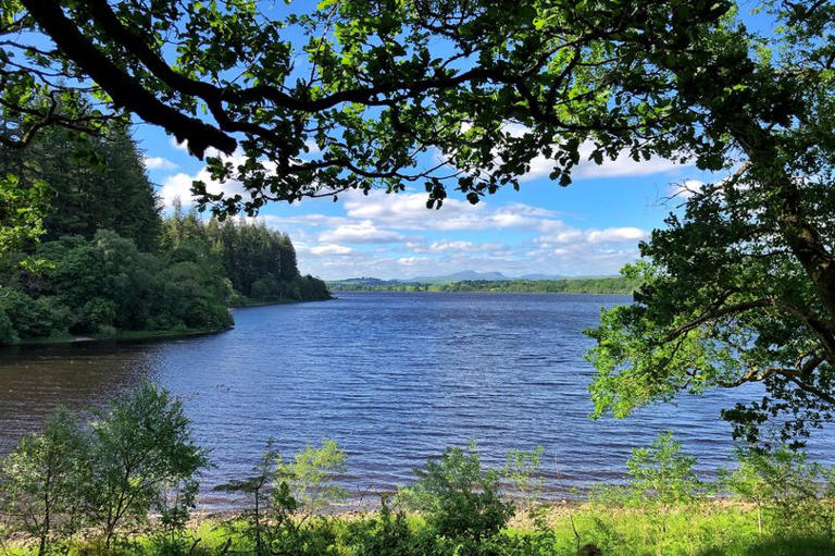 Extended patrols ensure Loch Ken is wildfire free during hot weather