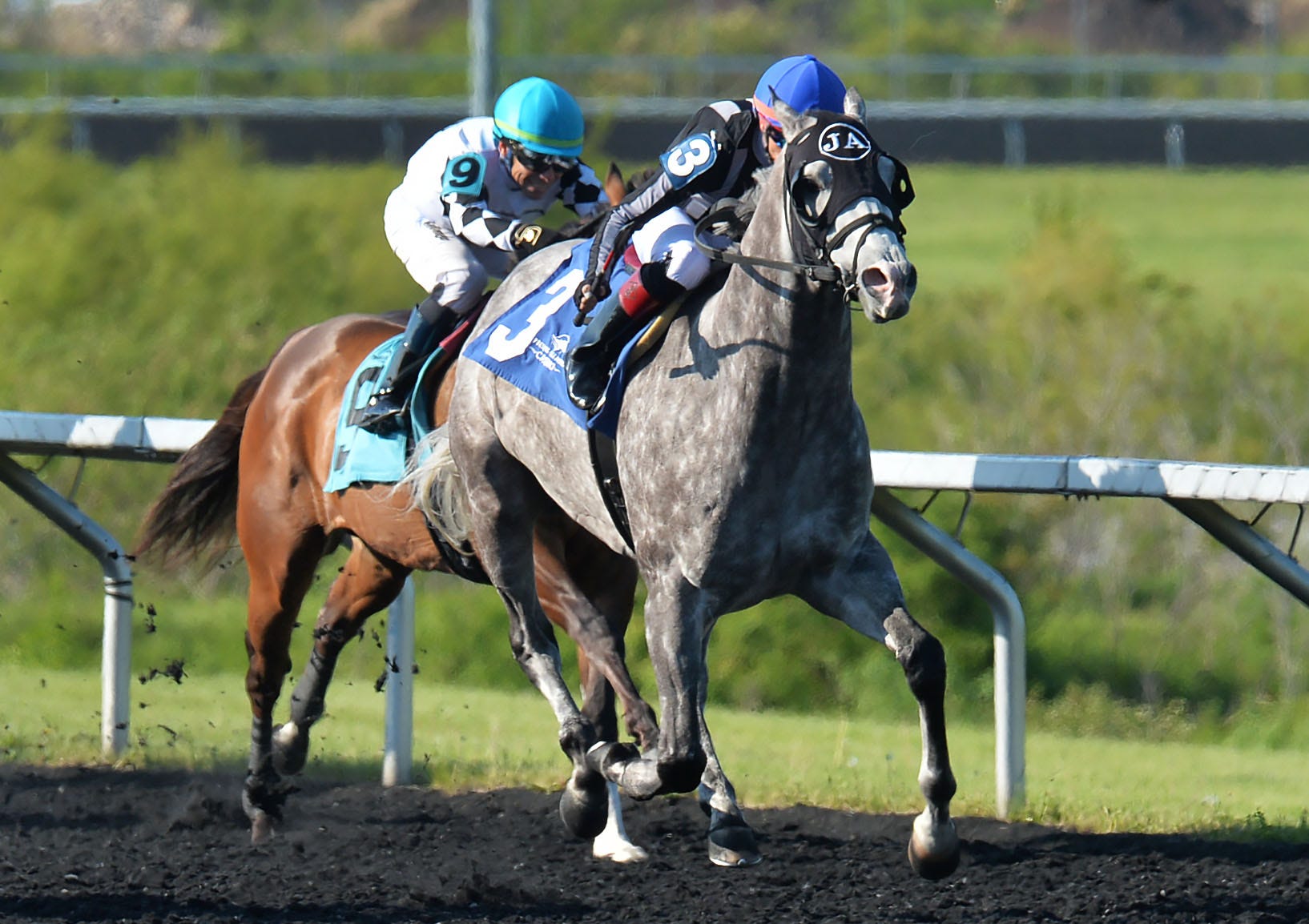 Erie's Presque Isle Downs horse track hosts key prep race for world ...