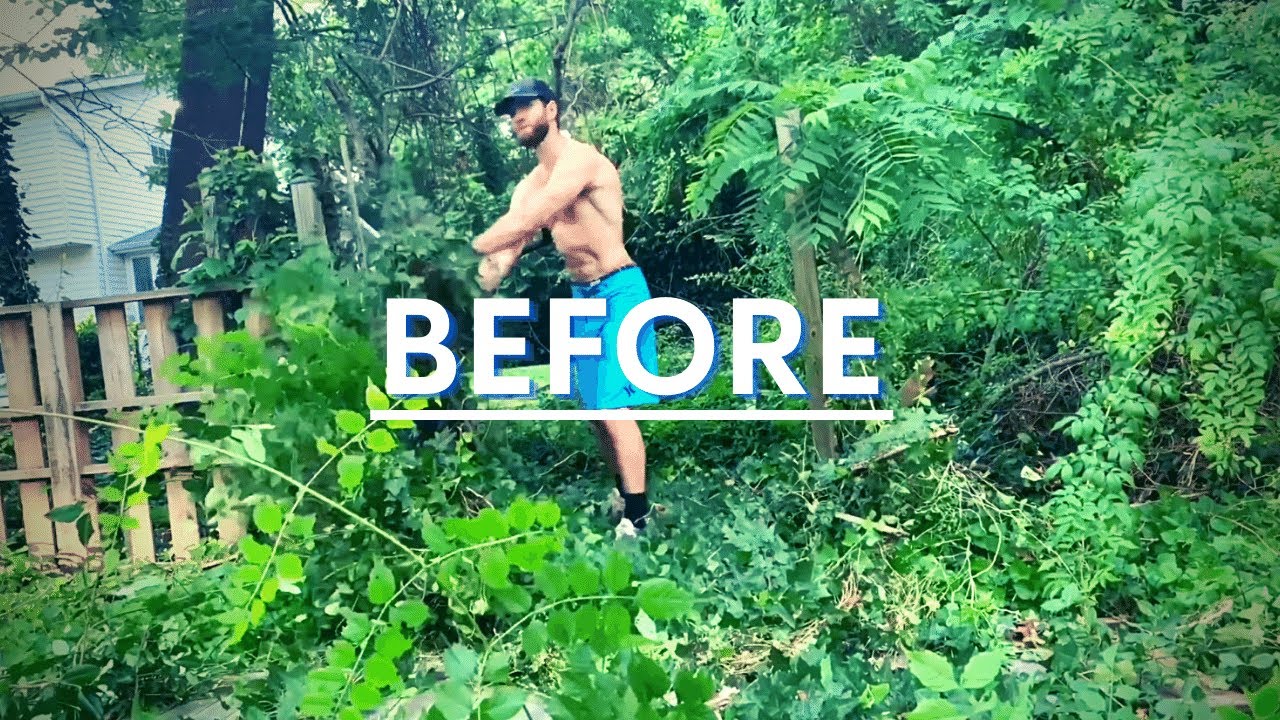 This simple backyard makeover saved me a ton of money