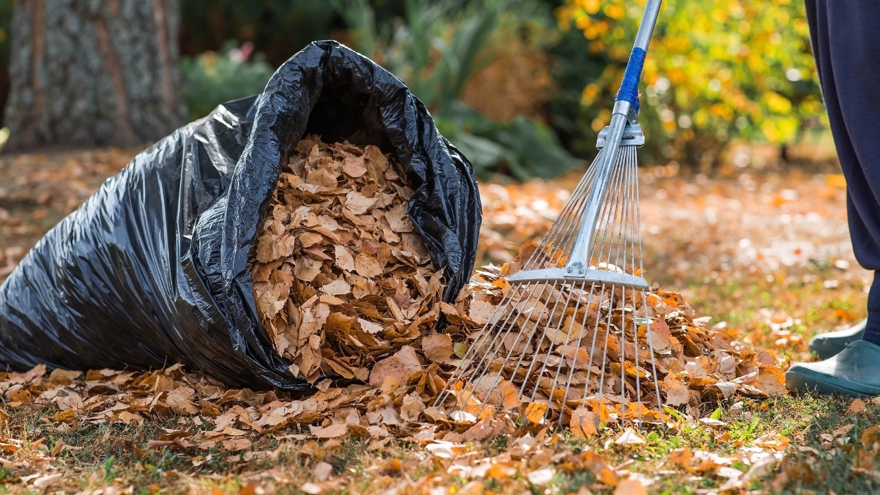 9 yard chores every kid remembers doing in the ‘80s
