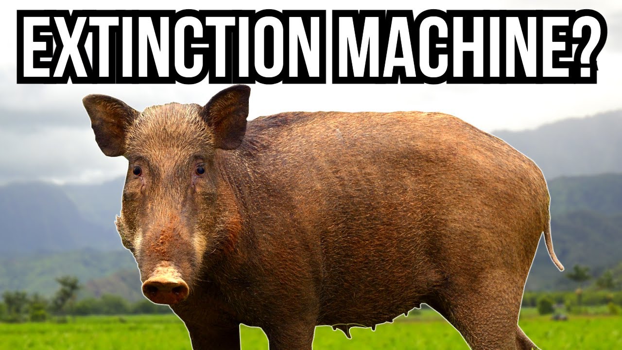 3 Invasive Species That Have Directly Caused Extinctions