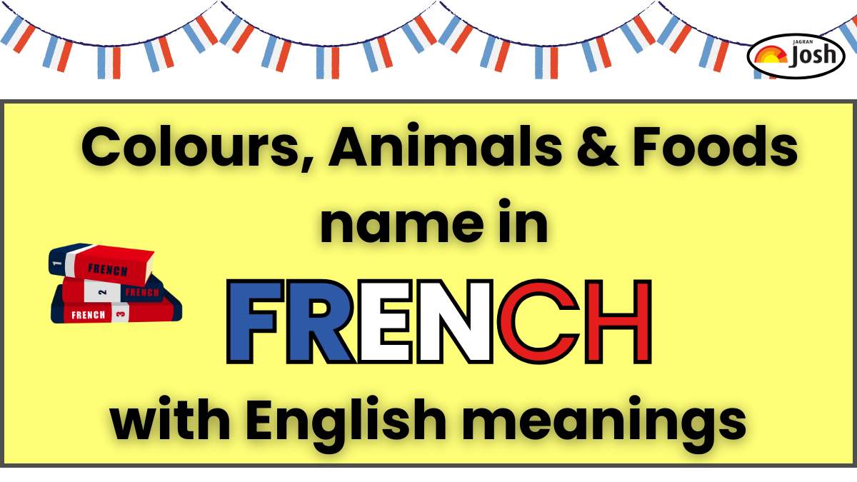 45+ Colours, Animals & Food Names in French with English Meaning