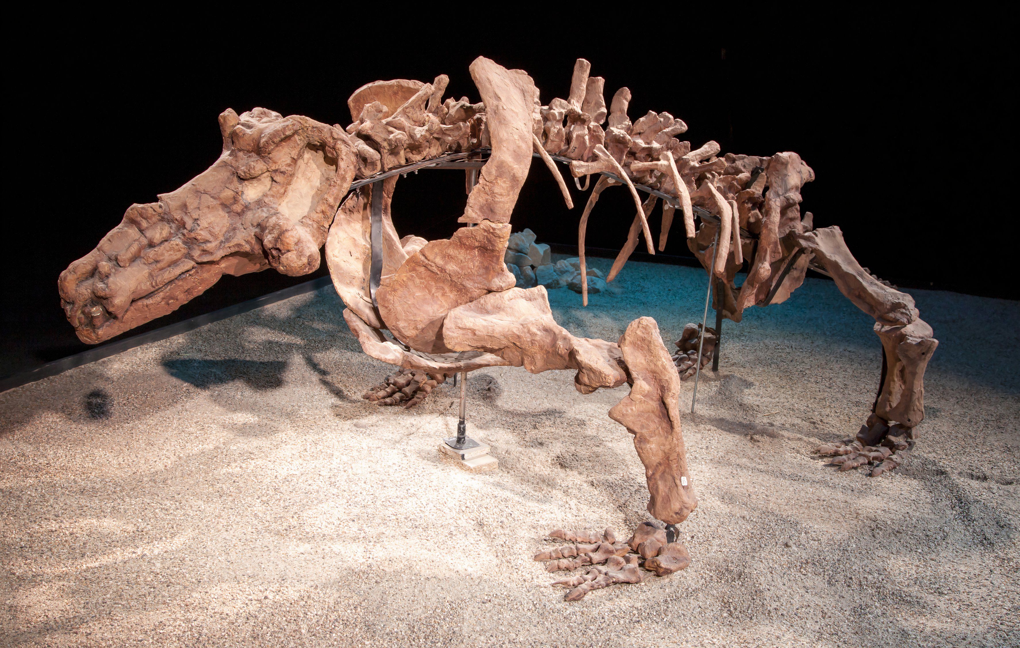 The World's Most Terrifying Ancient Predator Was 10 Million Years Older ...