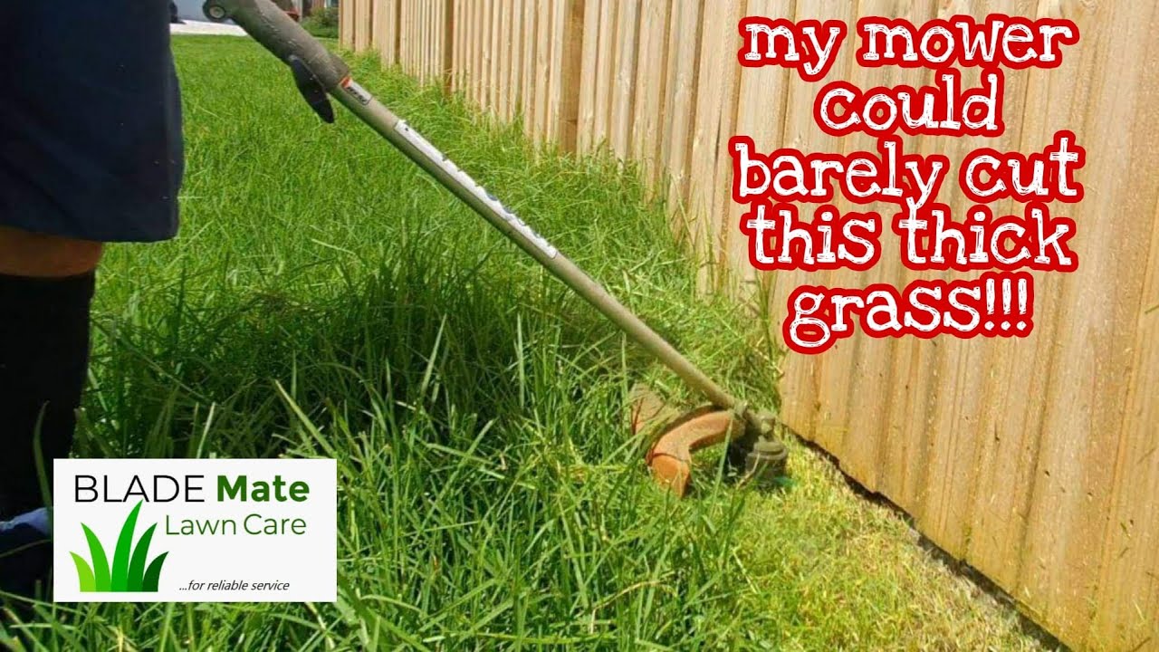 Cutting Through a Jungle of Buffalo Grass