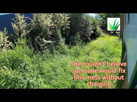 This Tall Grass Cleanup Left the Client in Tears