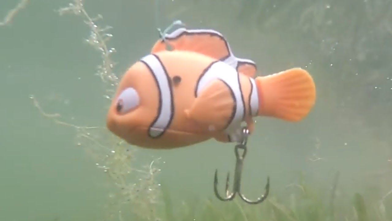 I Turned Nemo Into a Fishing Lure… and It Worked!